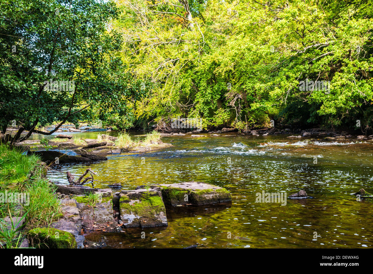 The River Usk near Llangynidr in the Brecon Beacons National Park ...
