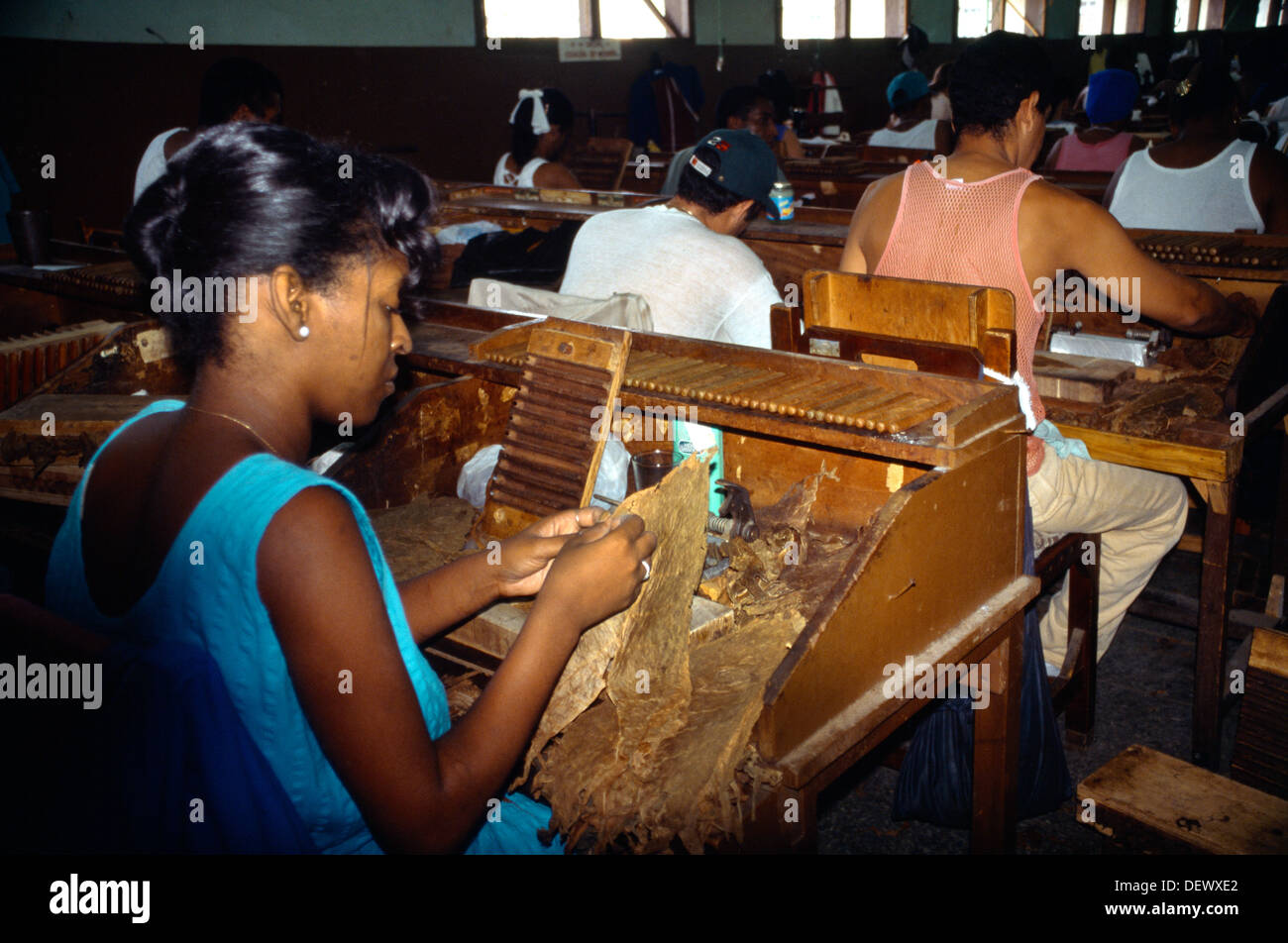 Cuban cigar factory workers hi-res stock photography and images - Alamy