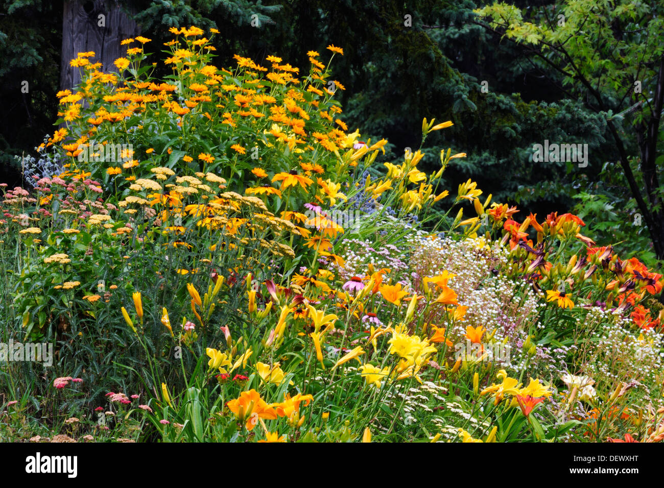 Naturalized Backyard High Resolution Stock Photography and Images - Alamy