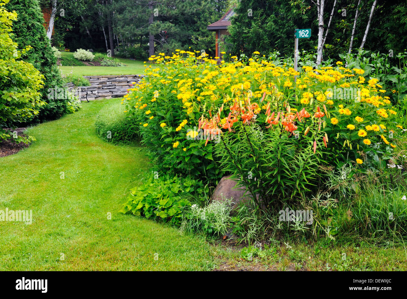 Naturalized Backyard High Resolution Stock Photography and Images - Alamy