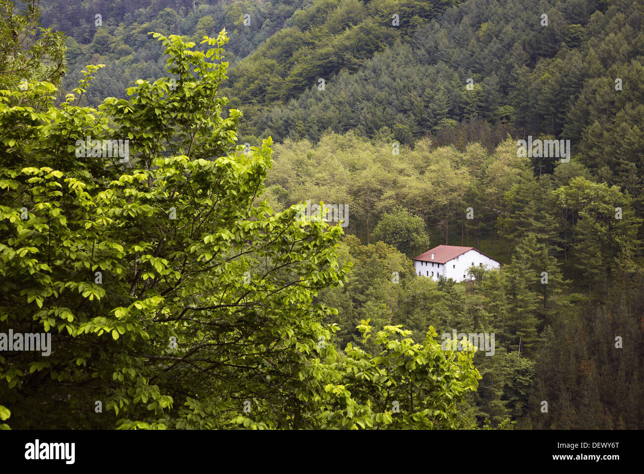 Beizama hi-res stock photography and images - Alamy