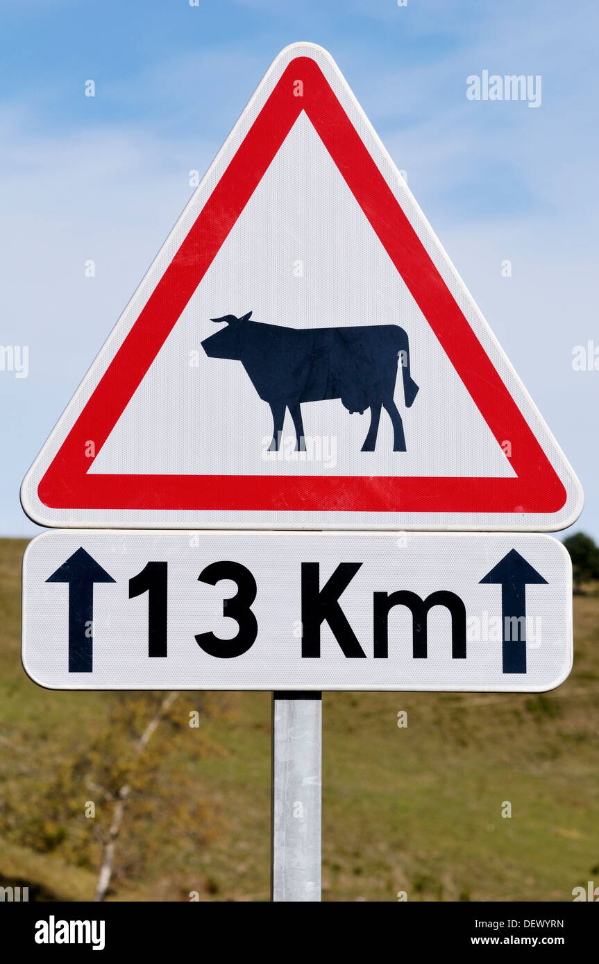 Cattle Road Sign High Resolution Stock Photography and Images - Alamy