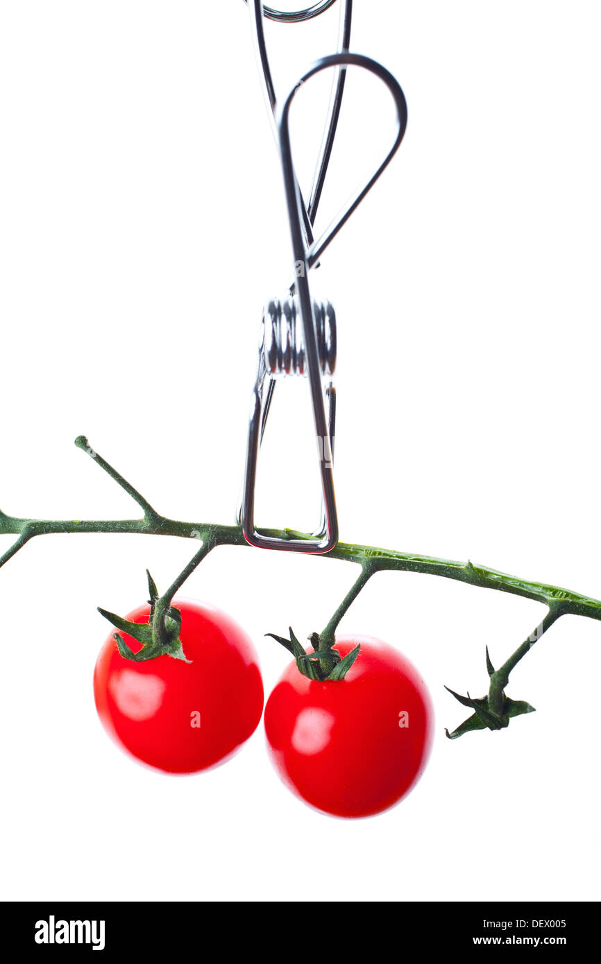 Transgenic Tomato High Resolution Stock Photography and Images - Alamy