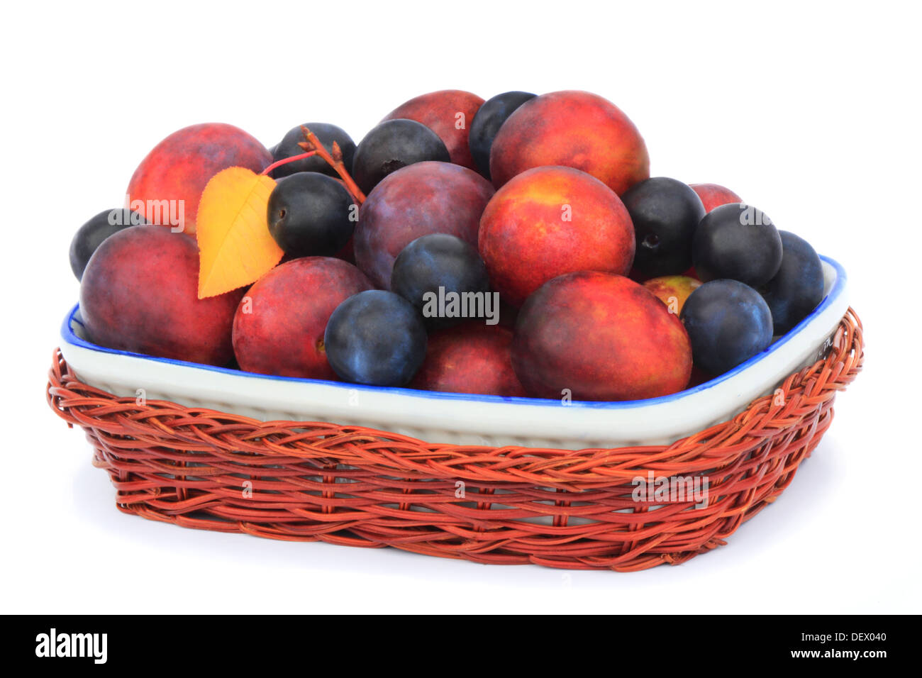 Large ripe plums and prunes in a vase for fruit. Presented on a white ...