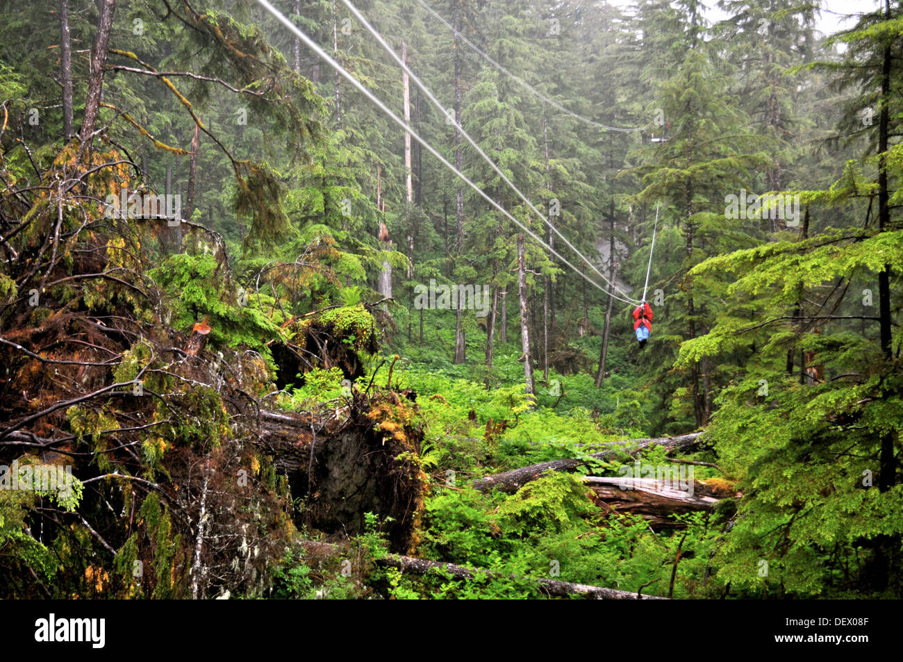 Riding the Ketchikan Zipline Stock Photo - Alamy