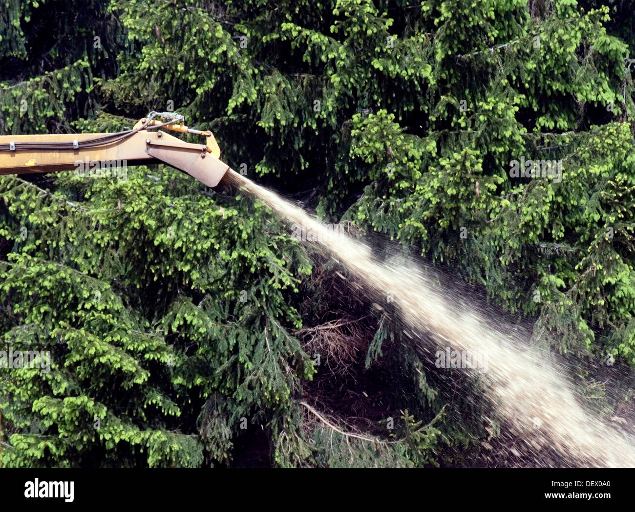 Chipping machine hi-res stock photography and images - Alamy