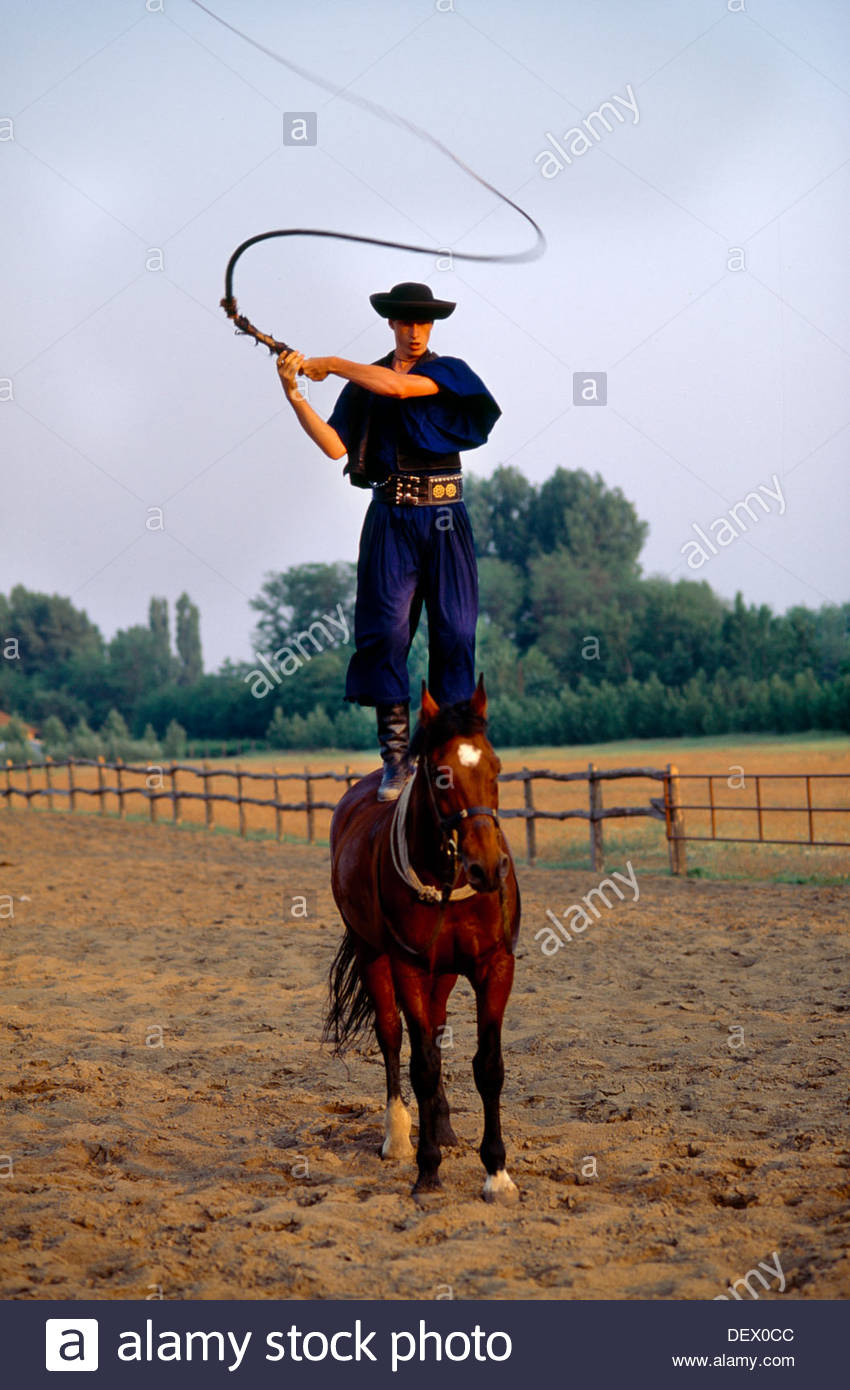 Puszta Hungary Man Standing on Horse Holding Whip Stock Photo, Royalty ...
