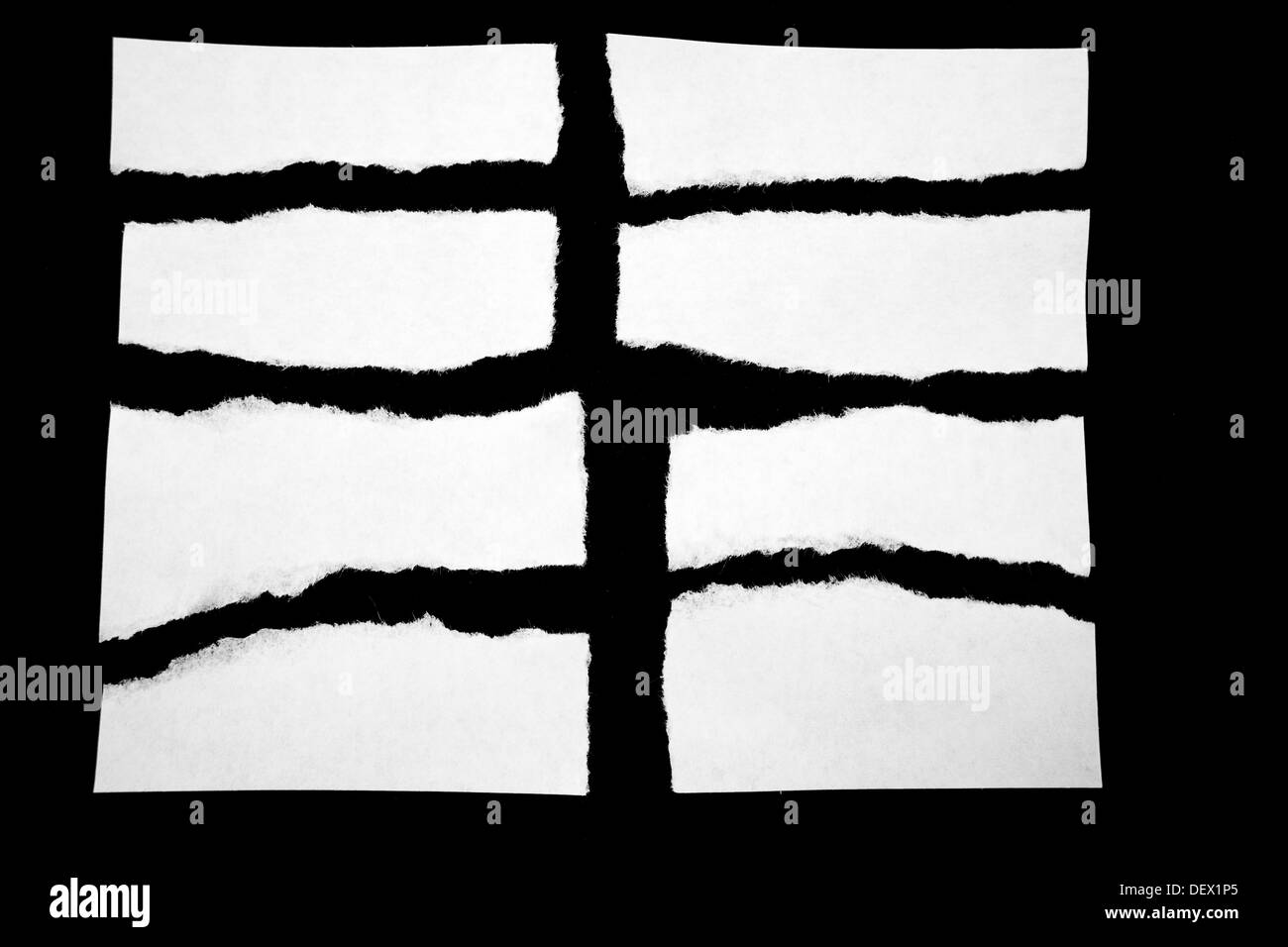 Torn photograph pieces hi-res stock photography and images - Alamy