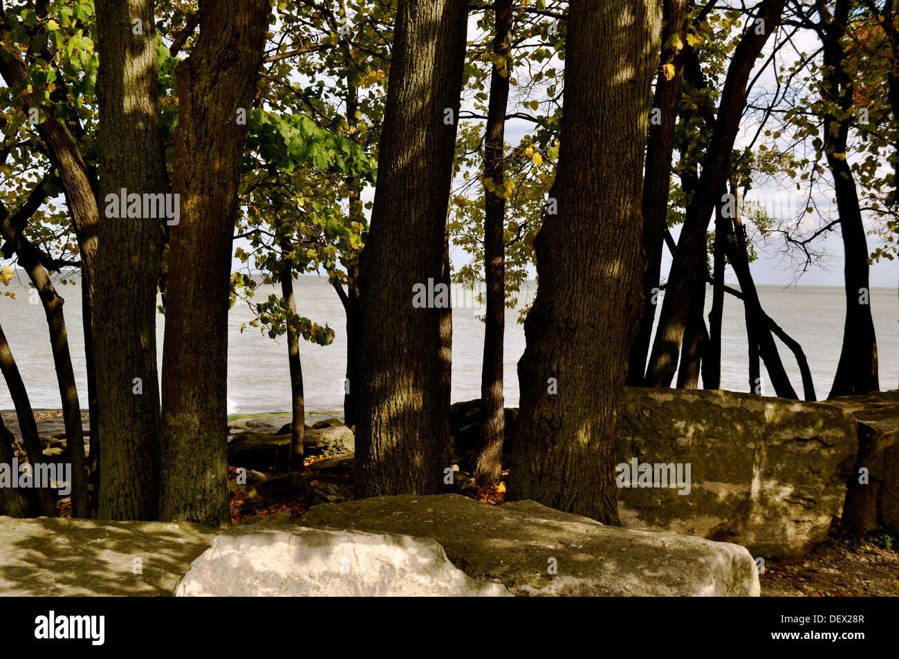 Rocks trees and water background Stock Photo - Alamy