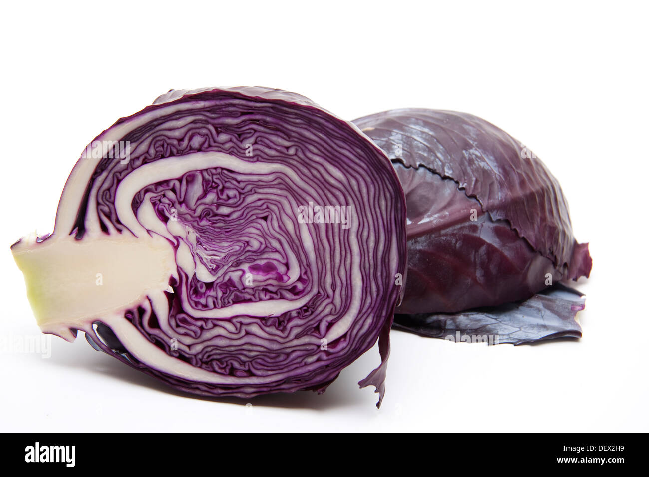 Half a red cabbage Stock Photo - Alamy