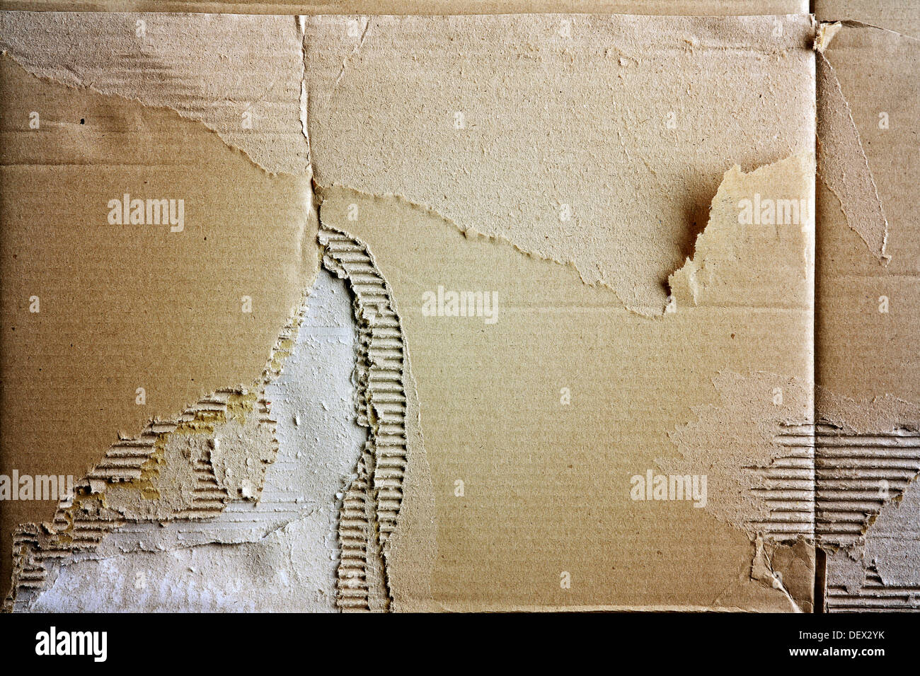 Closeup of ripped cardboard texture Stock Photo - Alamy