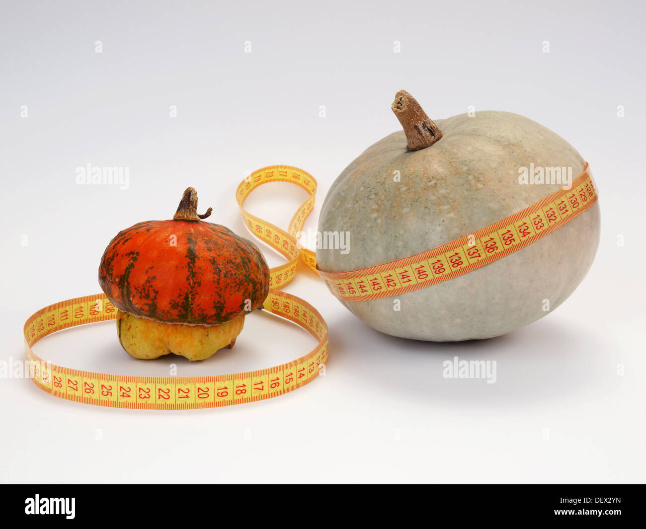 Pumpkin measurement hi-res stock photography and images - Alamy