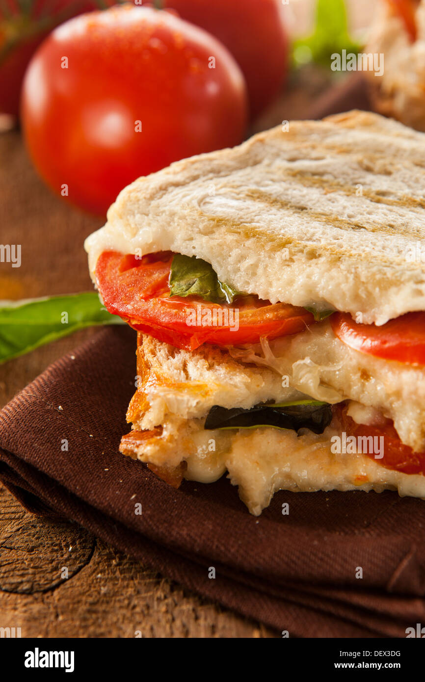 Homemade Tomato and Mozzarella Panini with Basil Stock Photo - Alamy