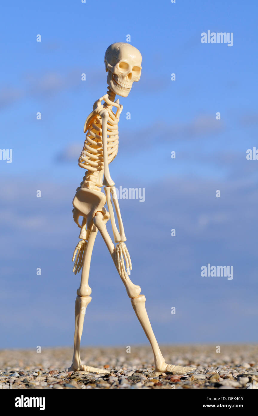 Skeleton walk hi-res stock photography and images - Alamy