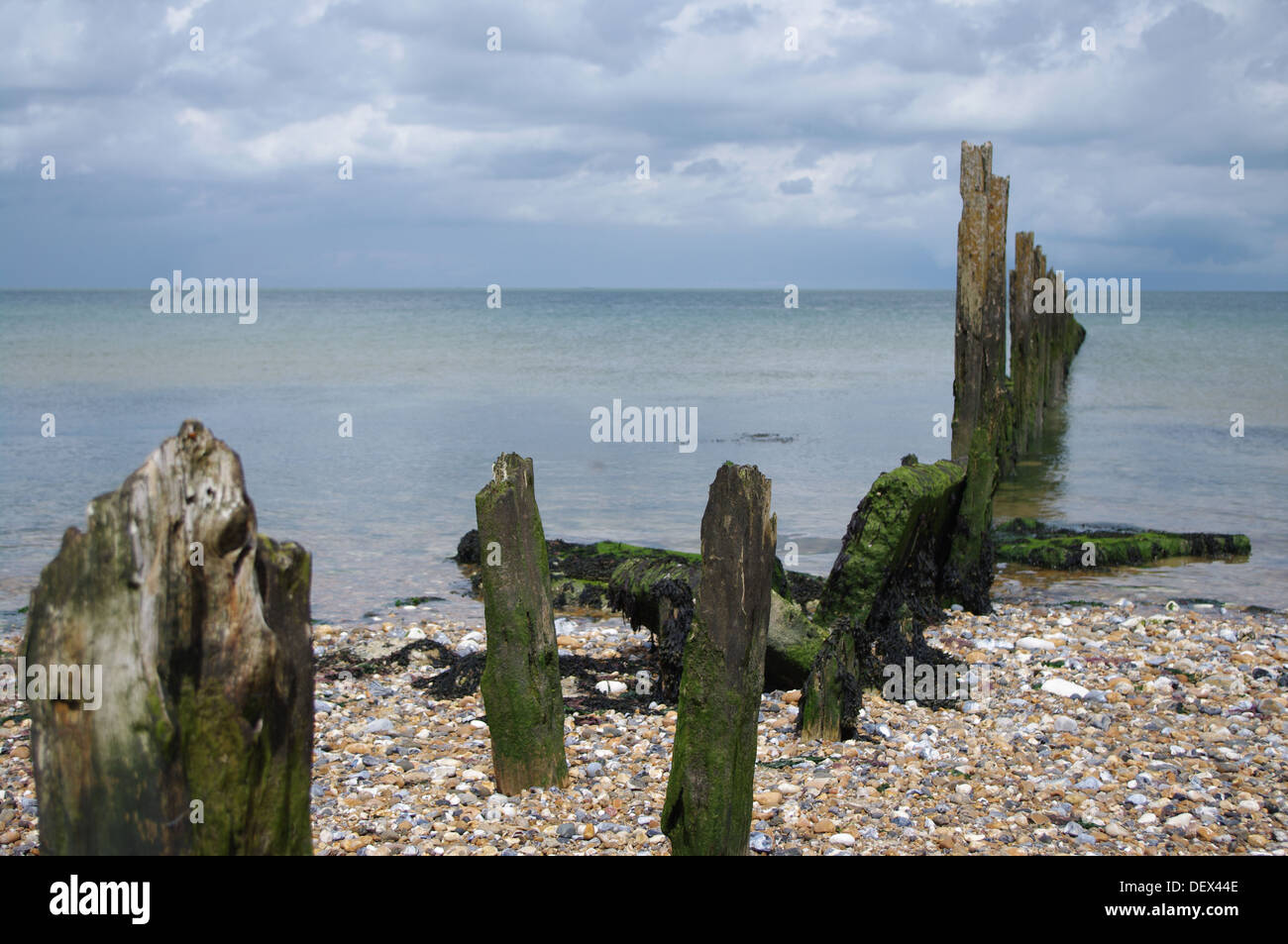 Shingle beach groynes hi-res stock photography and images - Alamy
