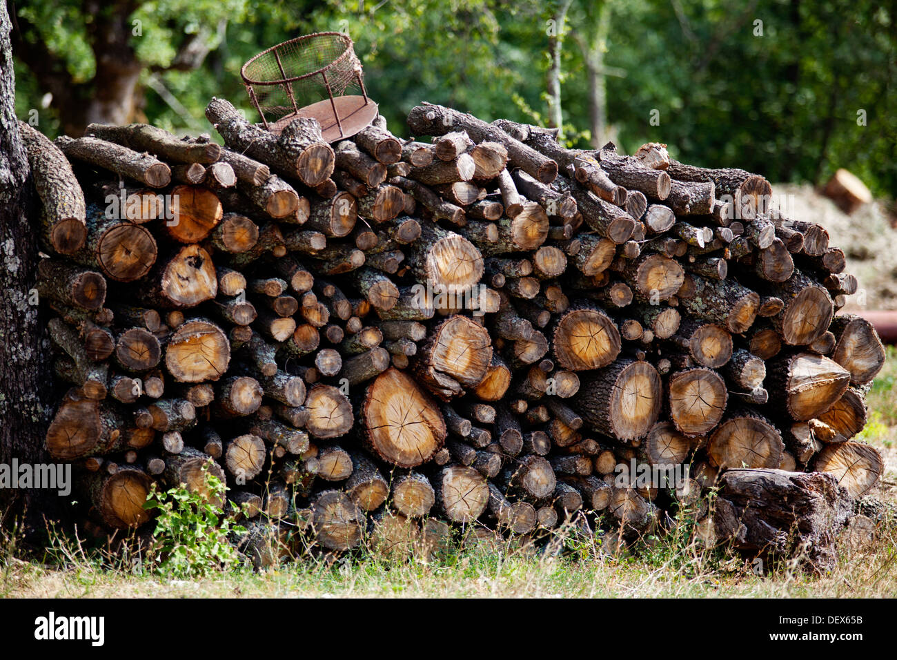 Timber wood cuts Stock Photo - Alamy
