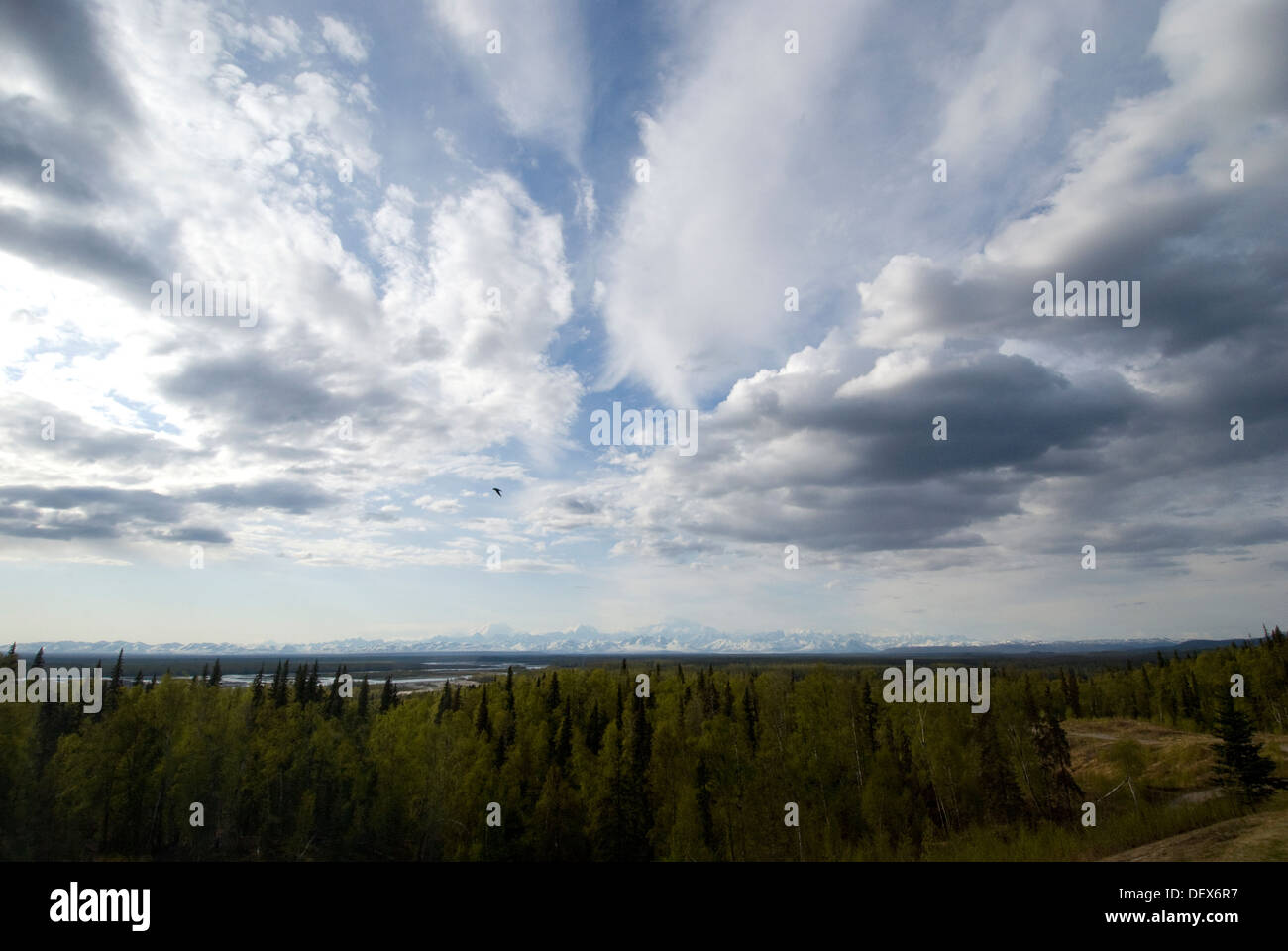 Denali Range High Resolution Stock Photography and Images - Alamy