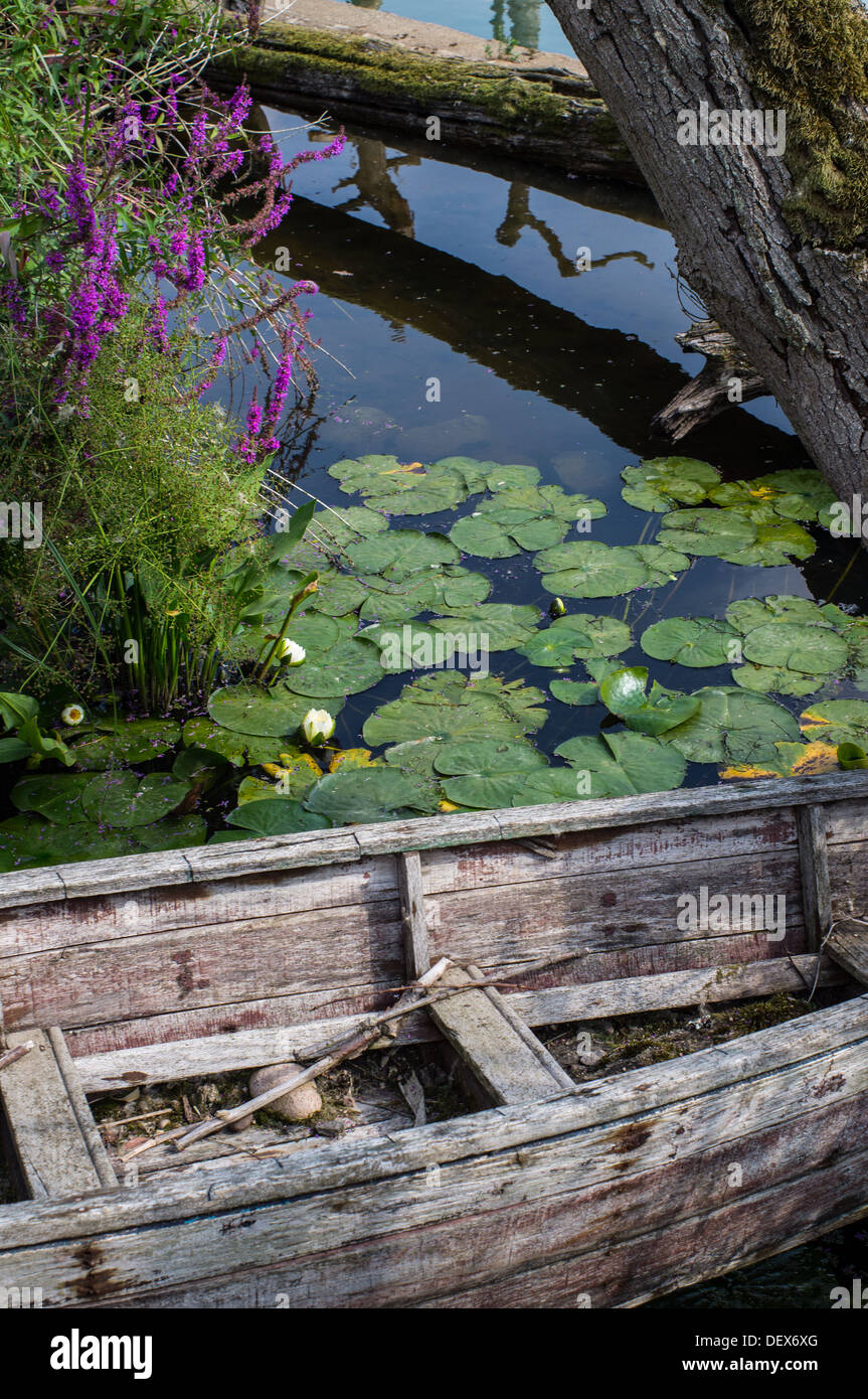Rowing pond hi-res stock photography and images - Alamy