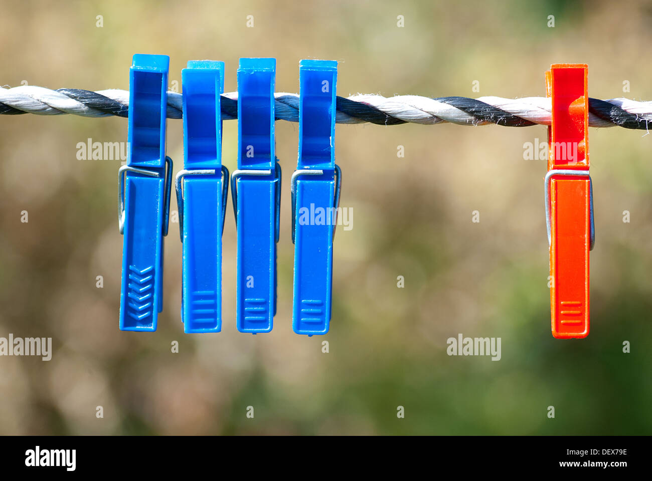 Laundry clamps hi-res stock photography and images - Alamy