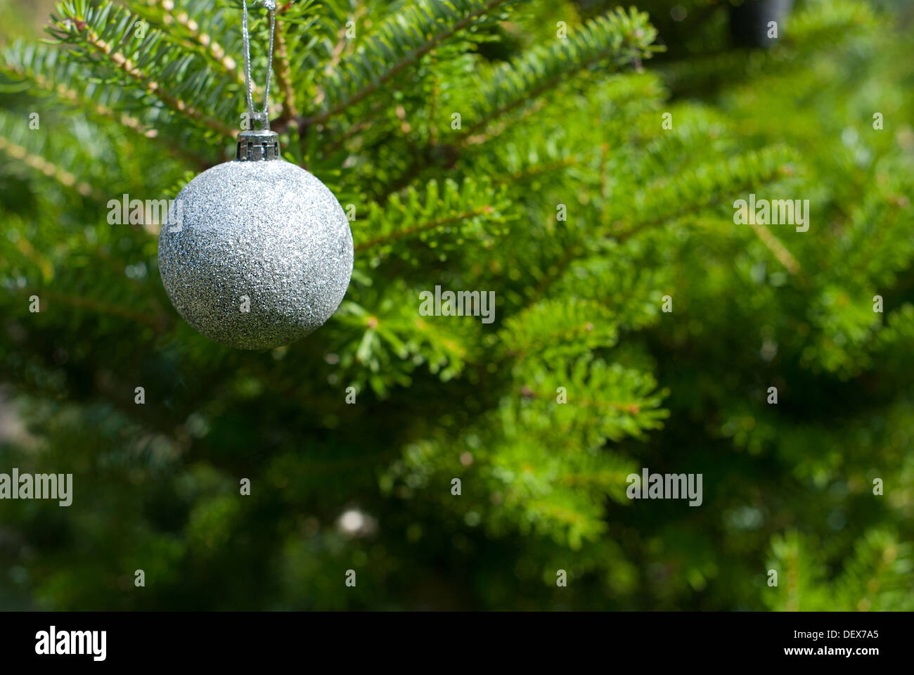 Nature silver ornaments hi-res stock photography and images - Alamy