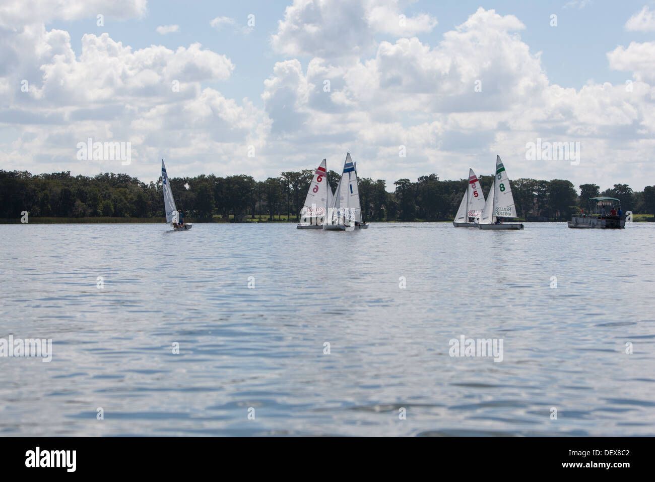 Sailboats racing in a regatta Stock Photo - Alamy