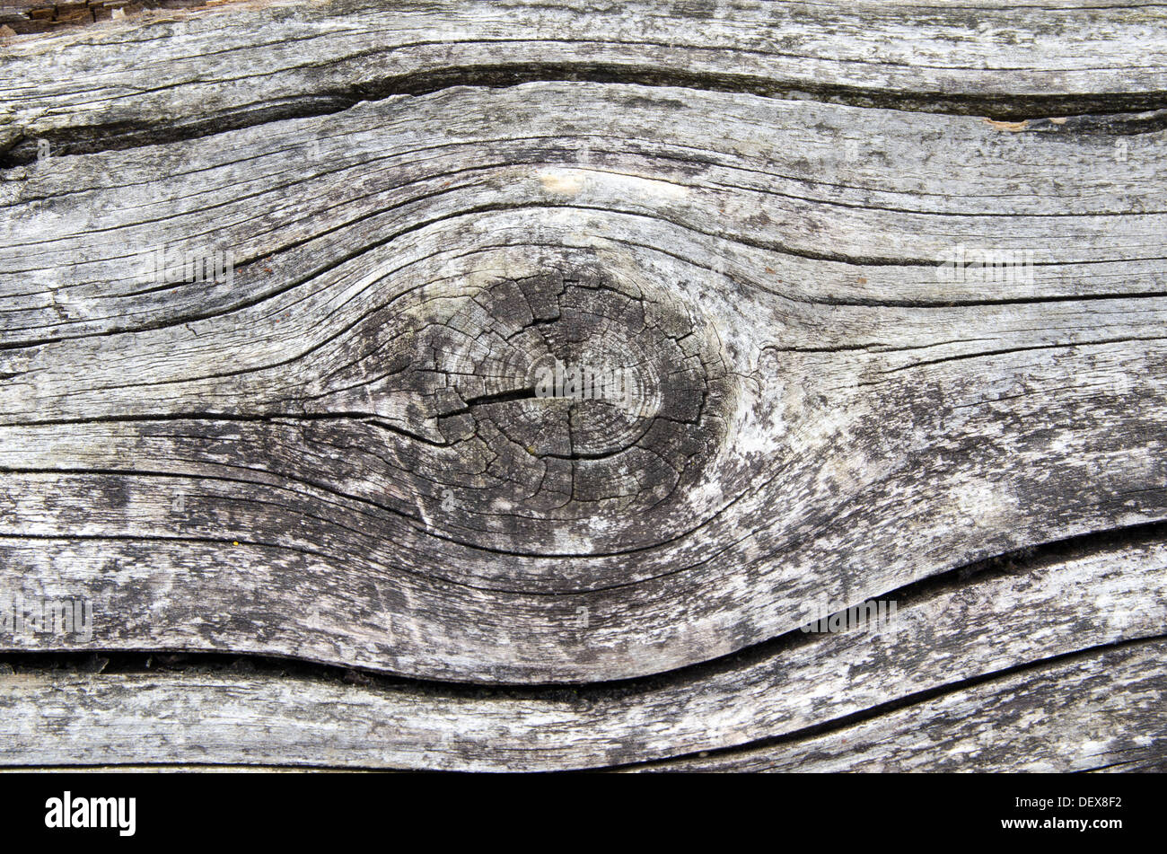 Rough wood knot hi-res stock photography and images - Alamy