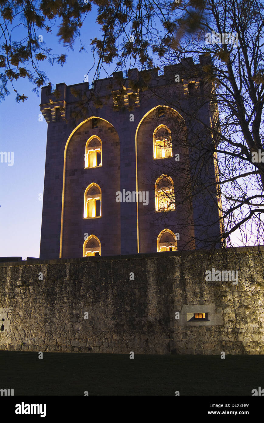 Arteaga tree hi-res stock photography and images - Alamy