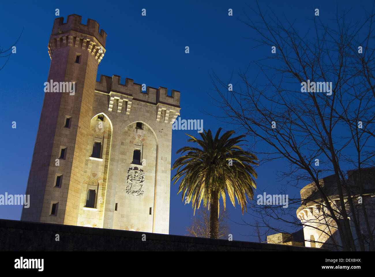 Arteaga tree hi-res stock photography and images - Alamy