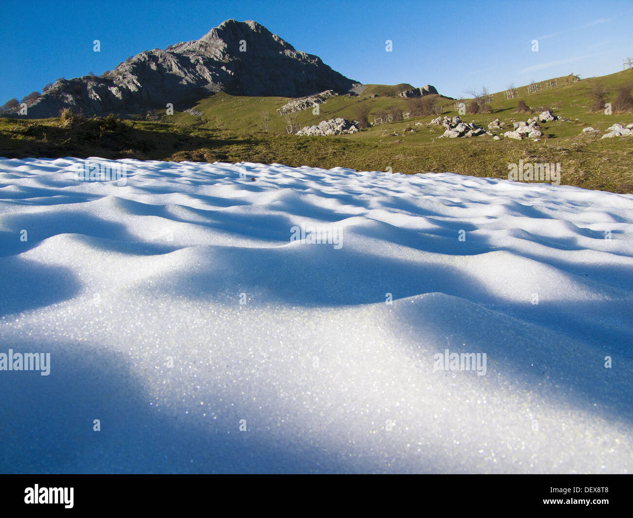 1302 High Resolution Stock Photography and Images - Alamy