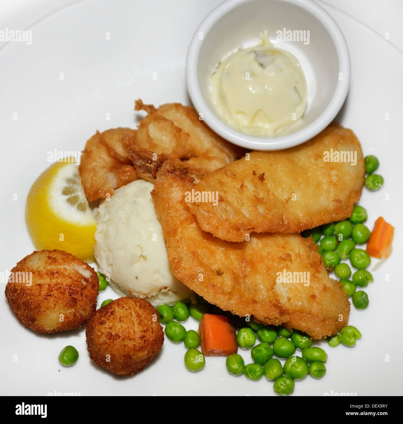 Scallop seafood hi-res stock photography and images - Alamy