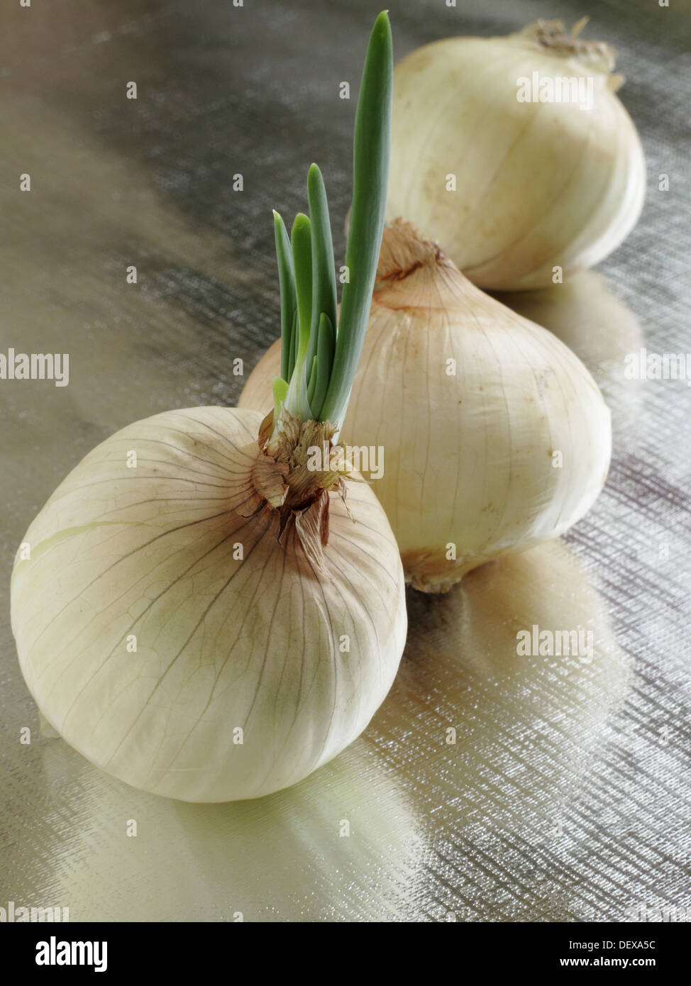 Silver skin onion hi-res stock photography and images - Alamy