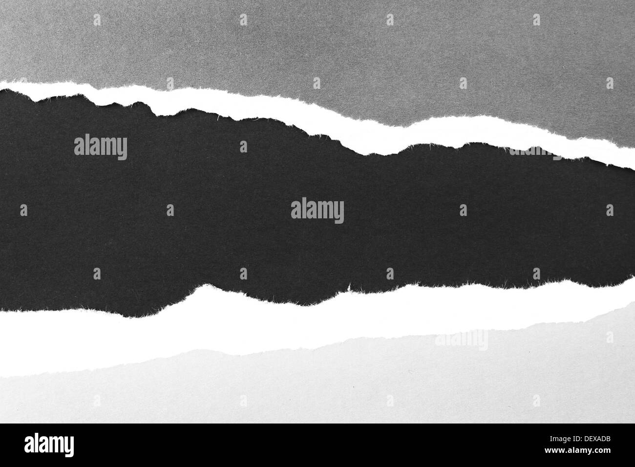 Blank white ripped paper hi-res stock photography and images - Alamy