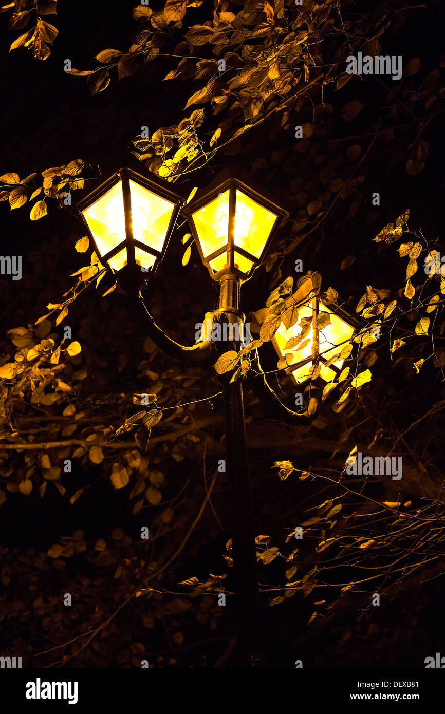 night lights and tree leaves in autumn Stock Photo - Alamy
