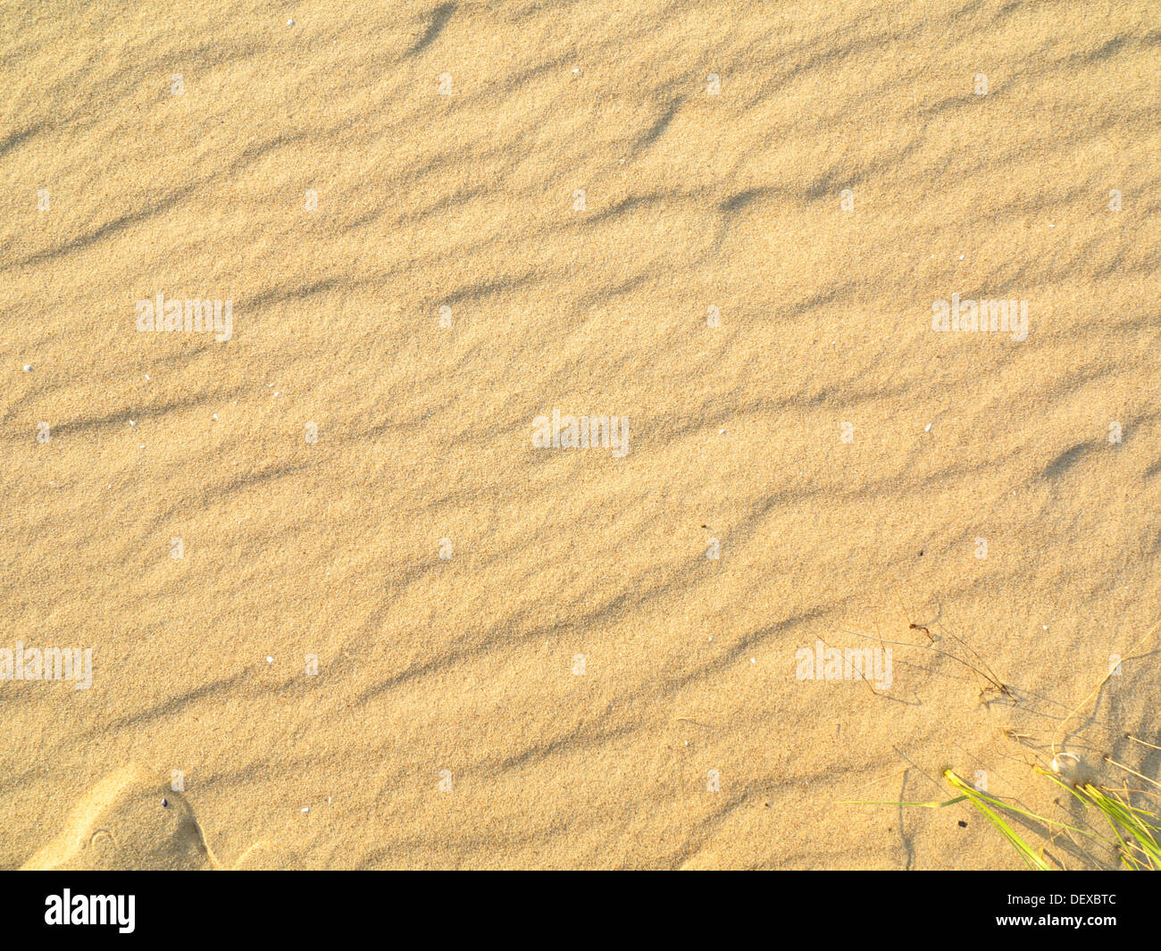 wavy yellow abstract sand texture pattern beach sandy background Stock ...