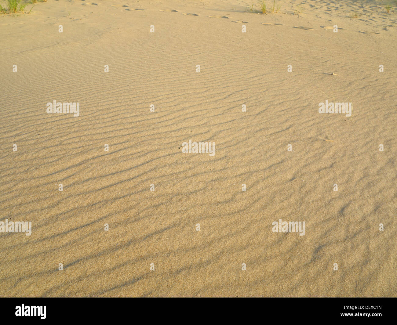 wavy yellow abstract sand texture pattern beach sandy background Stock ...