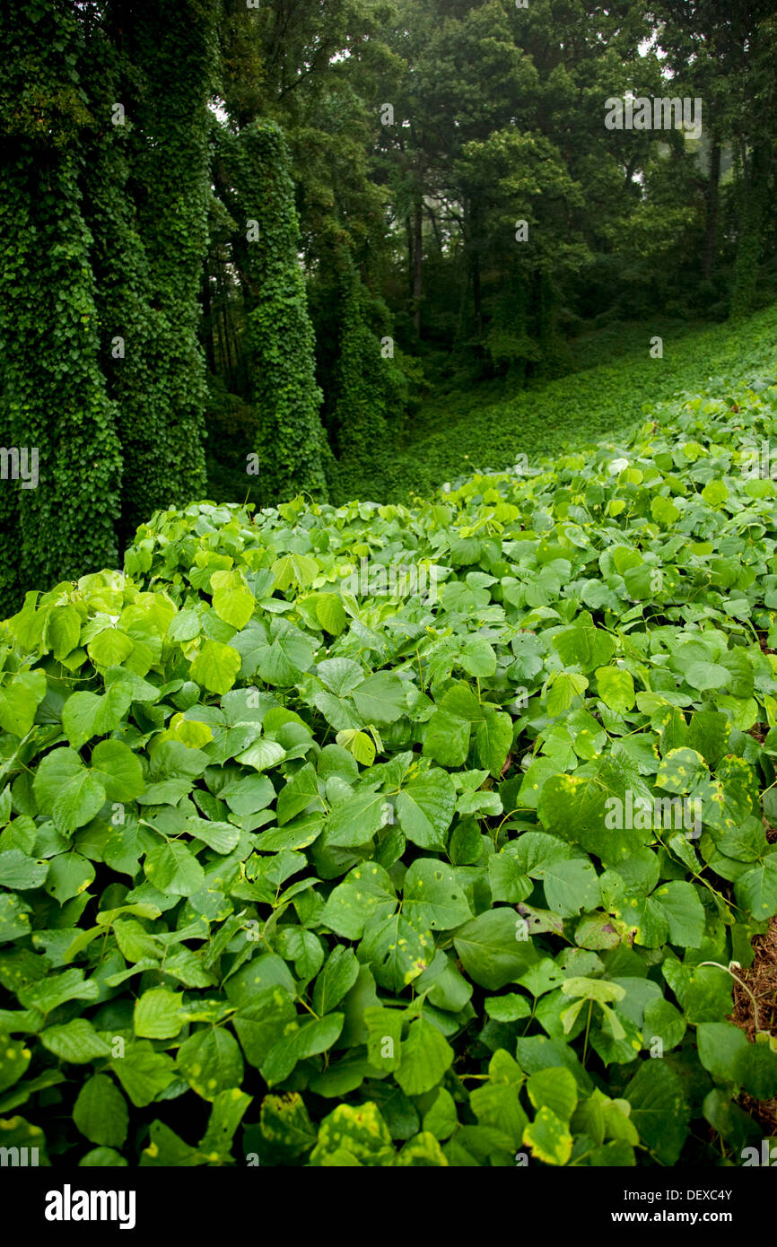 Fort dickerson park hi-res stock photography and images - Alamy