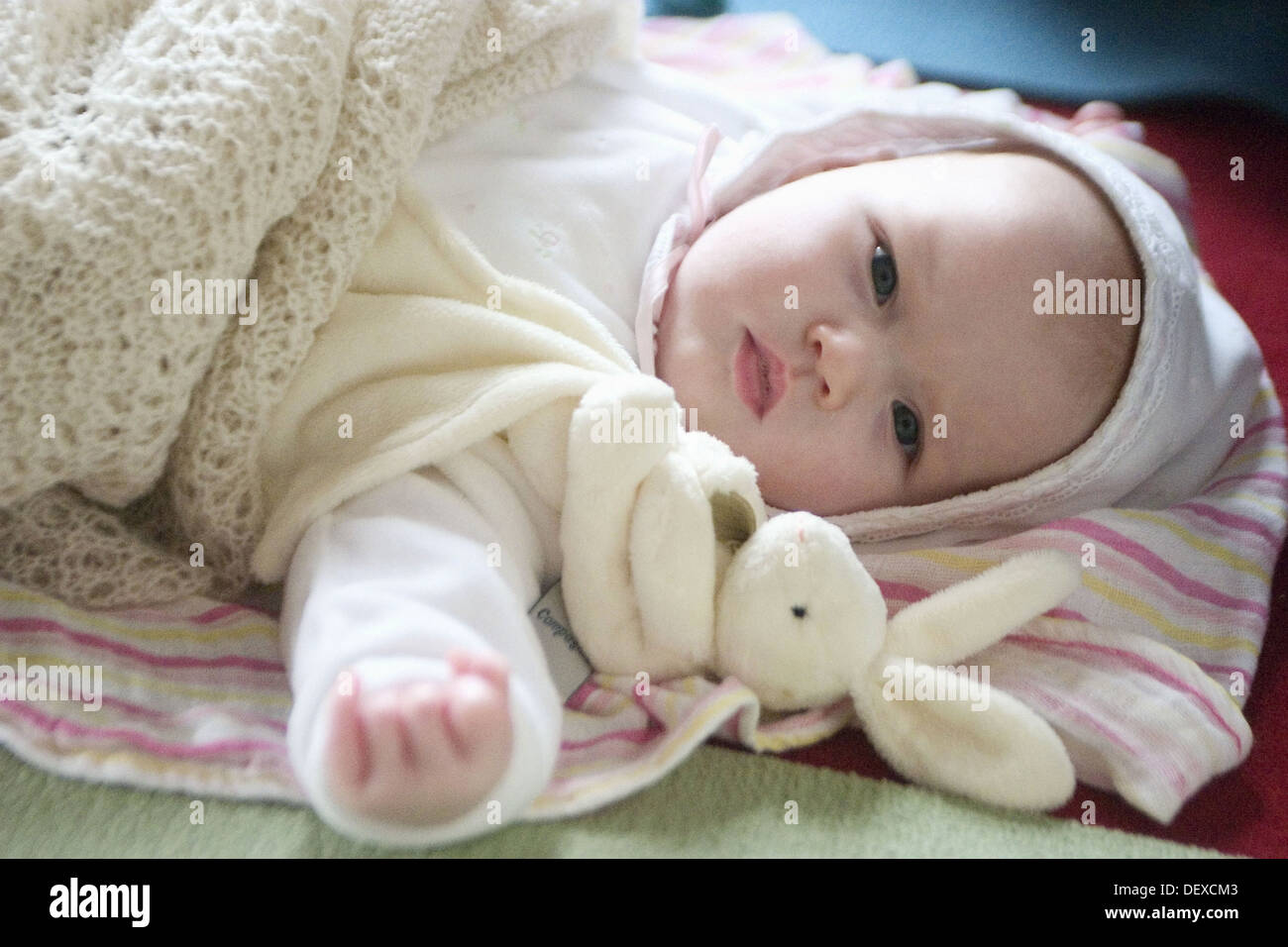 Back of bonnet hi-res stock photography and images - Alamy