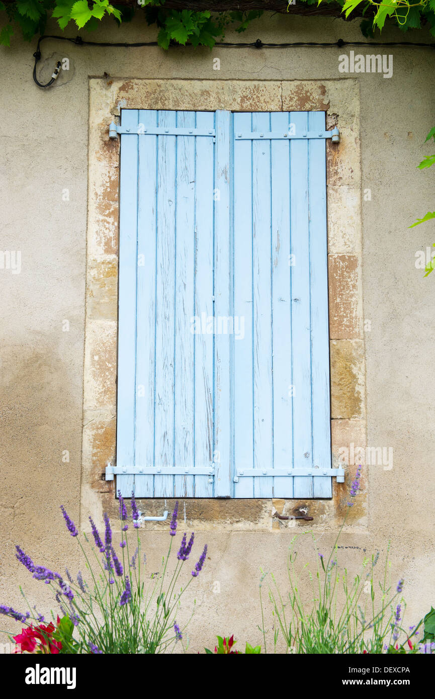 French windows with blue shutters and Lavender Stock Photo - Alamy