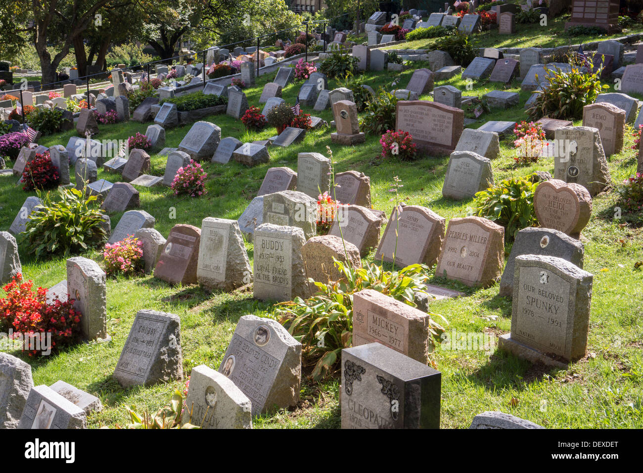 Pet memorials hi-res stock photography and images - Alamy