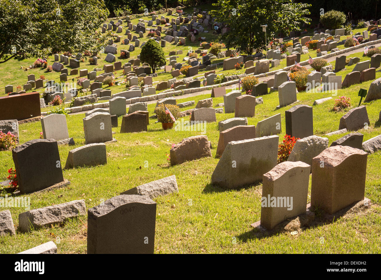 Gravestones for owners' beloved pets in the Hartsdale Pet Cemetery in ...