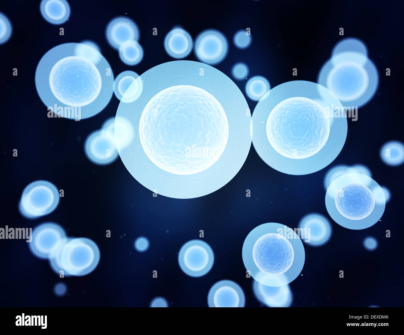 Large resolution 3d render of human egg cells Stock Photo - Alamy