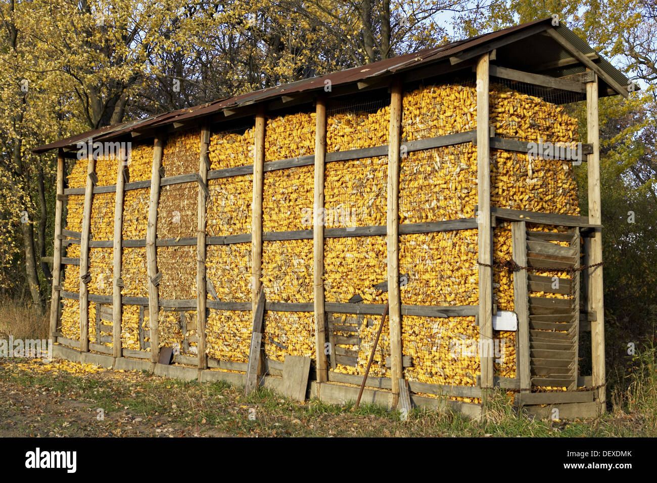 Wire grain hi-res stock photography and images - Alamy