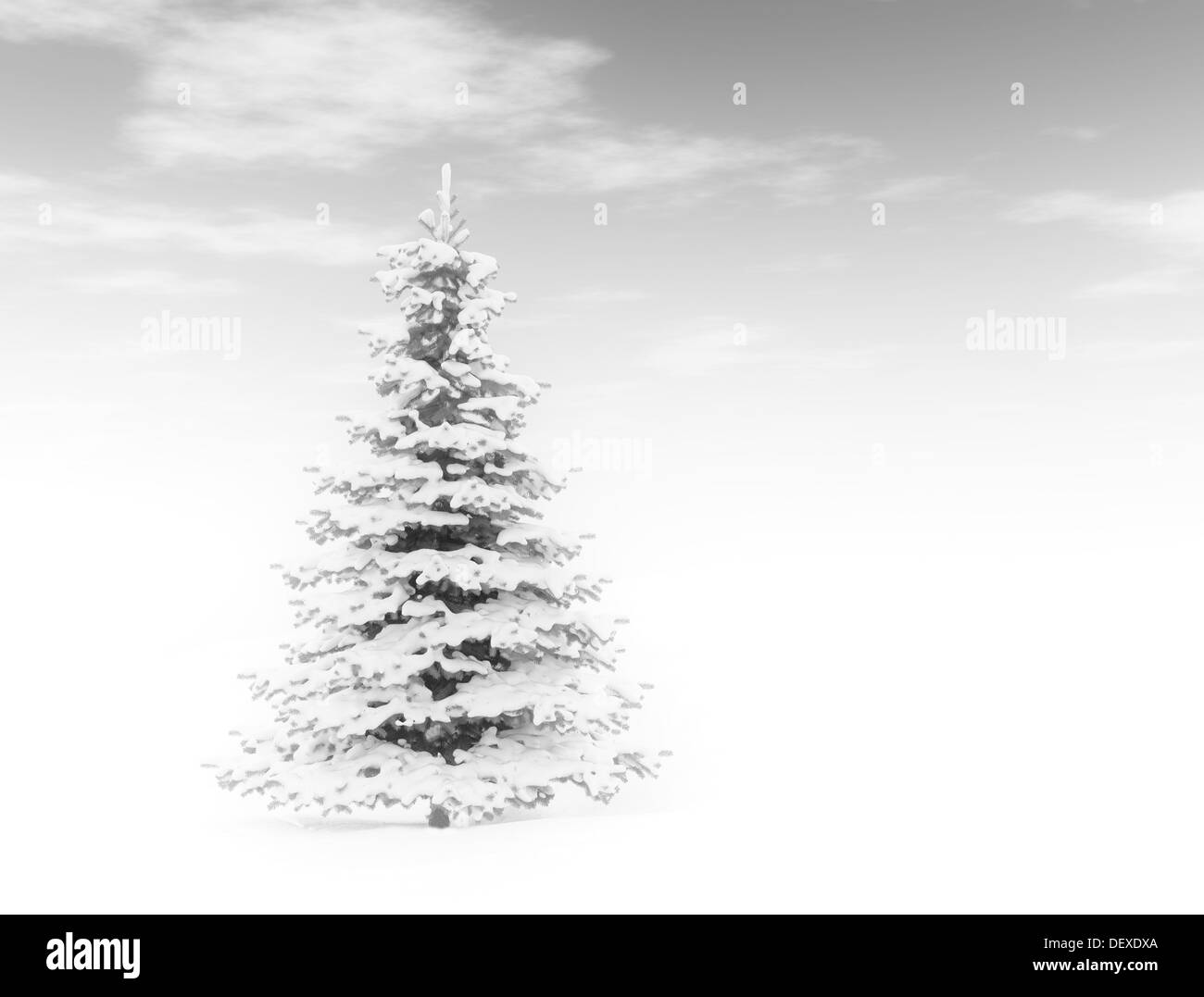 Pine tree covered in snow Stock Photo - Alamy