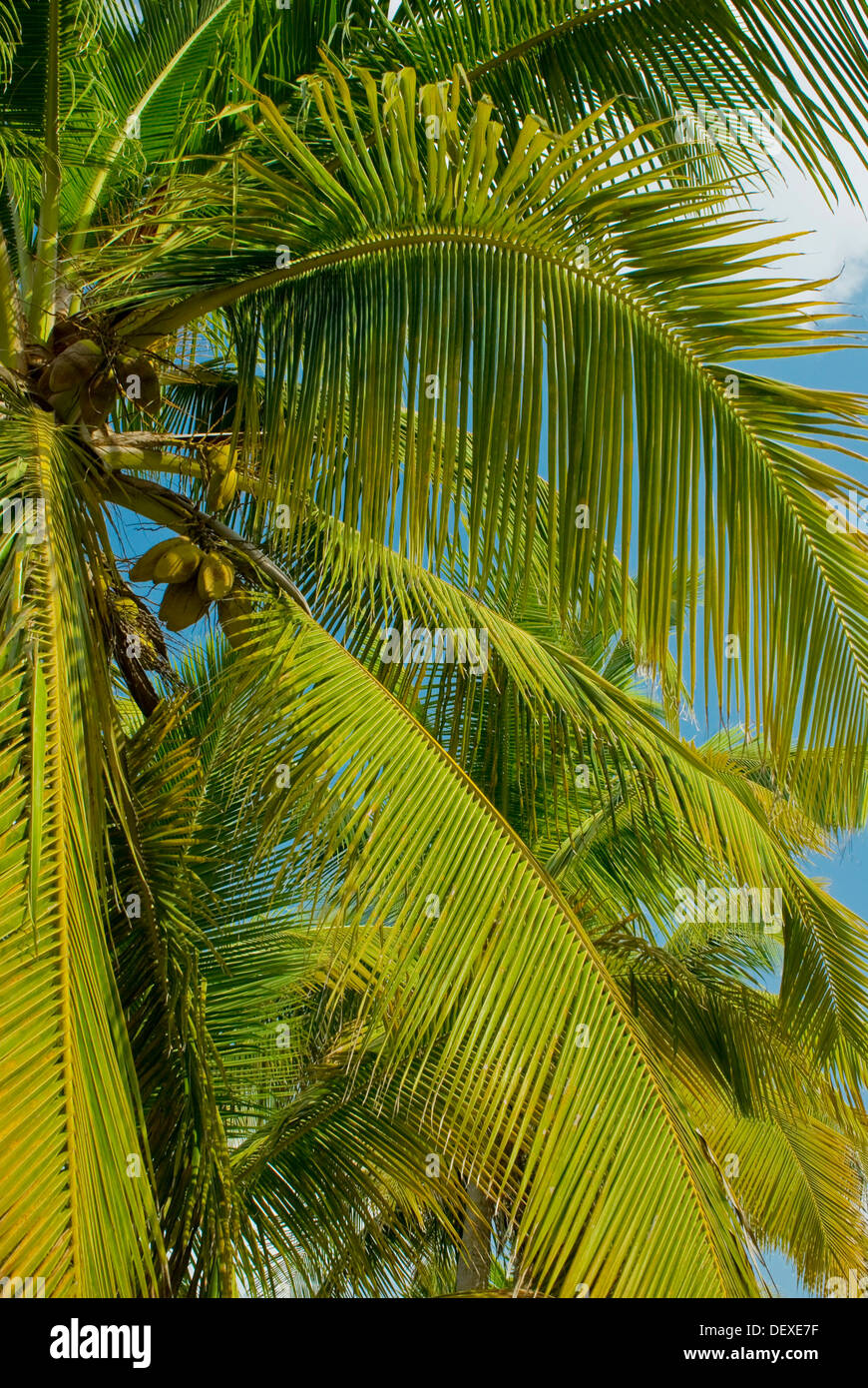 Virgin islands territory hi-res stock photography and images - Alamy