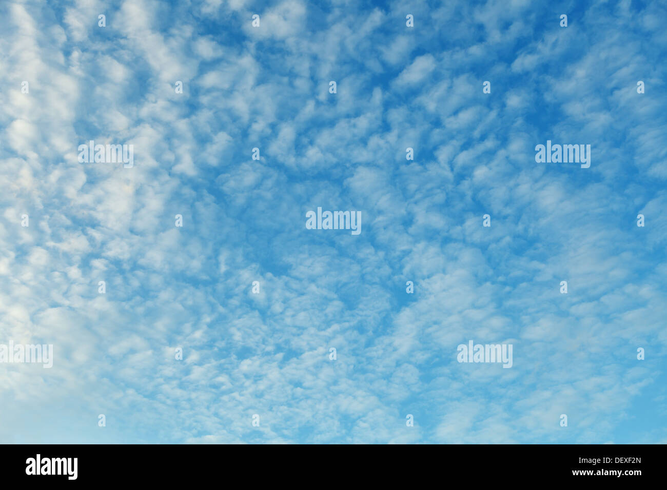 Altocumulus clouds - natural skyscape beauty background Stock Photo - Alamy