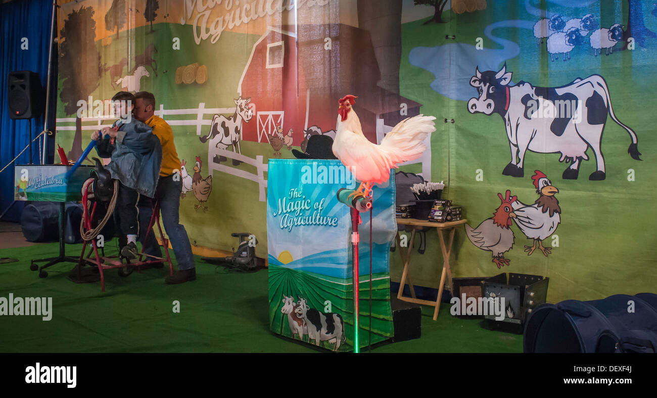 Pa. state farm show Stock Photo - Alamy