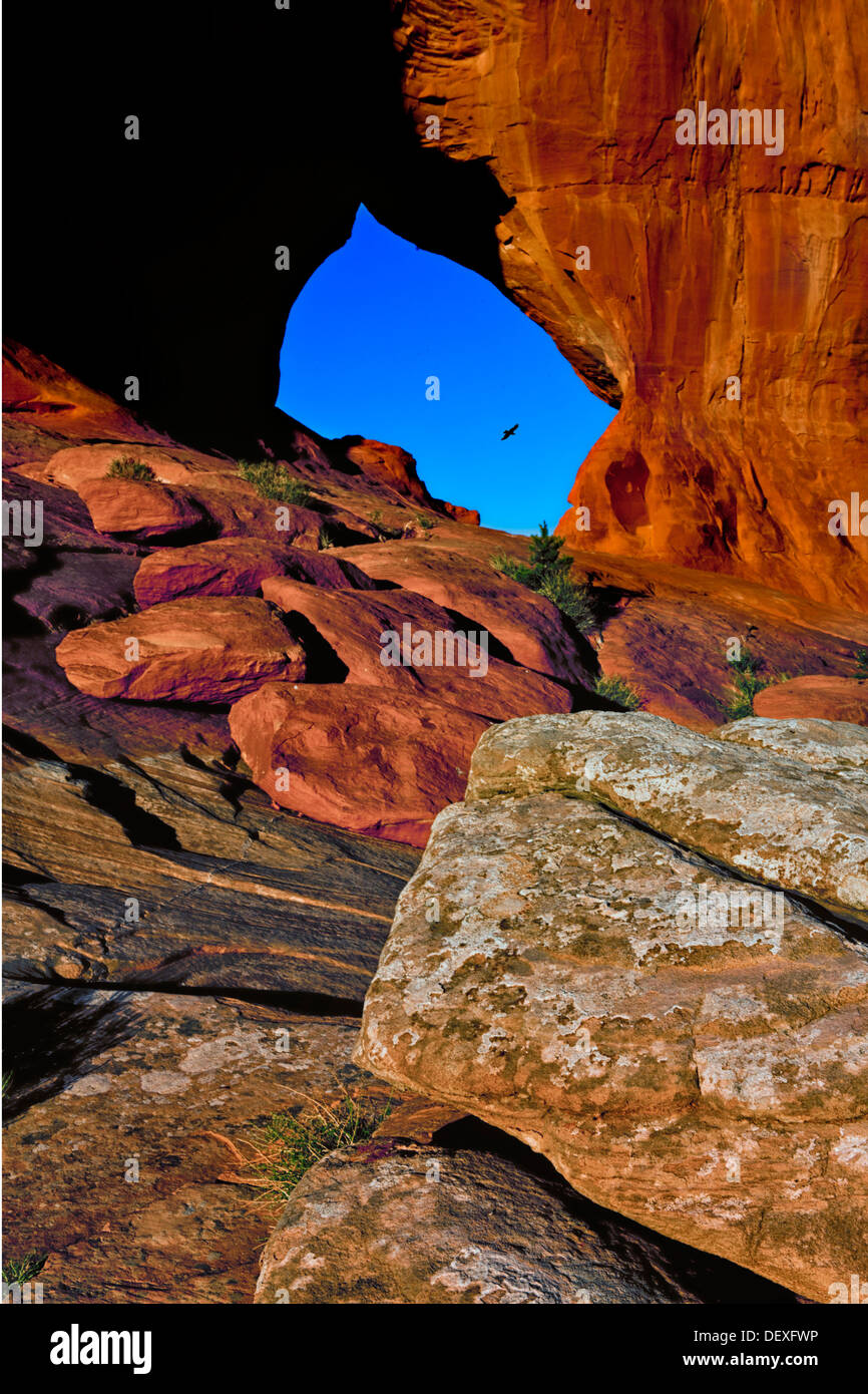 Vertical image south eastern utah hi-res stock photography and images ...