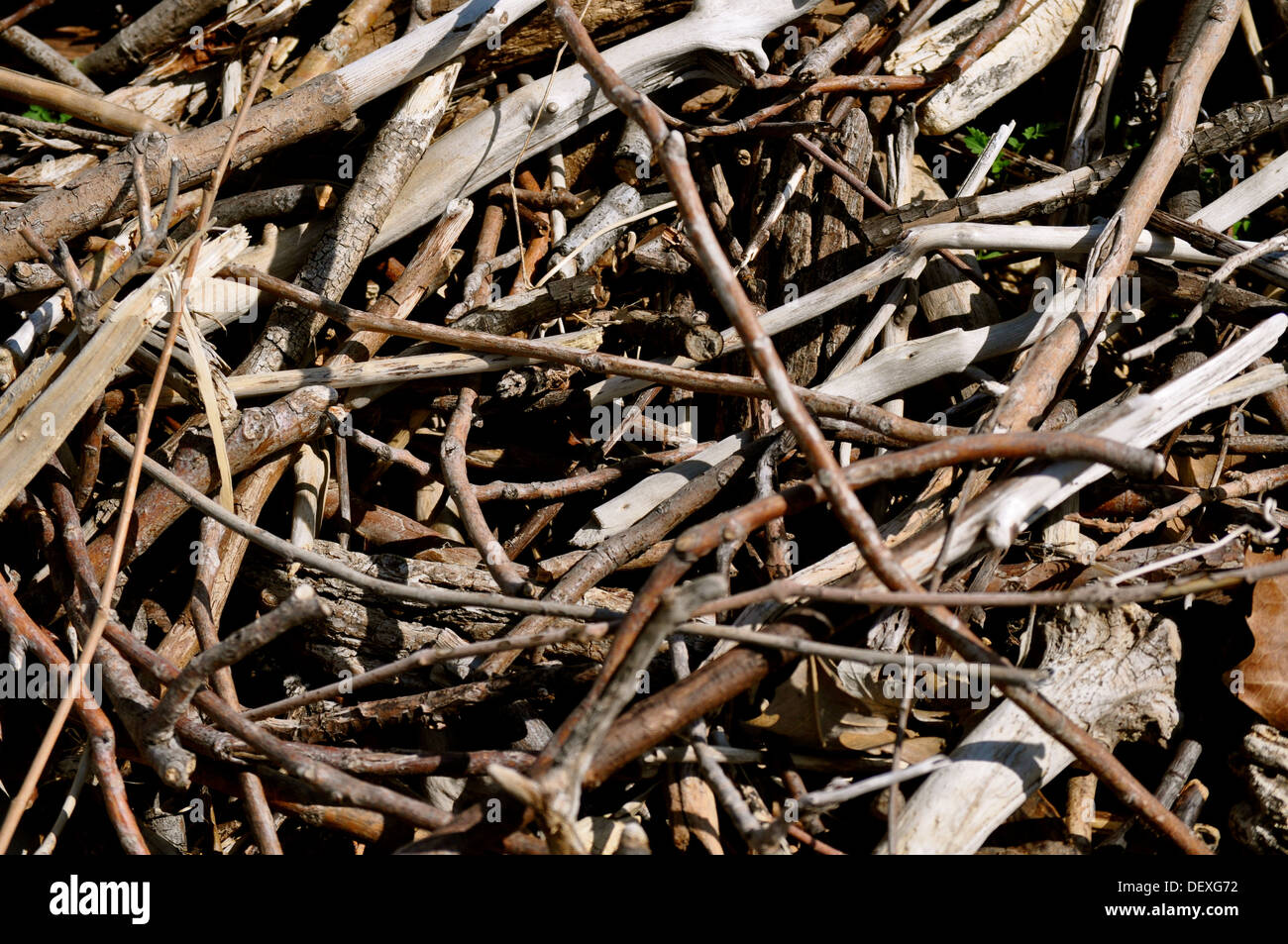 Stick Texture Background Stock Photo - Alamy