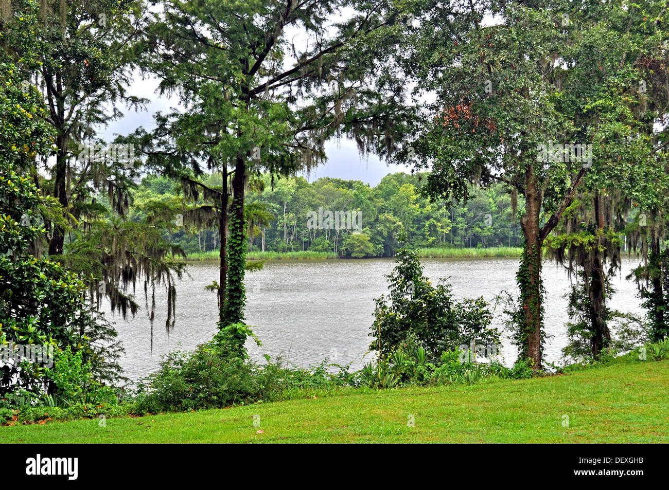 Swamps hi-res stock photography and images - Alamy