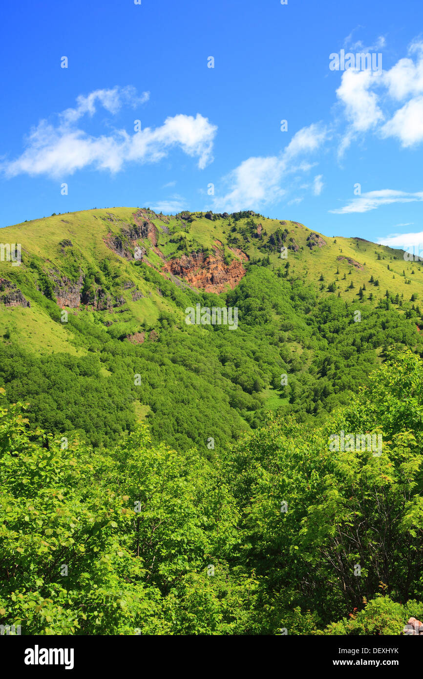 Mountain in summer, Mt. Nekodake, Nagano, Japan Stock Photo - Alamy